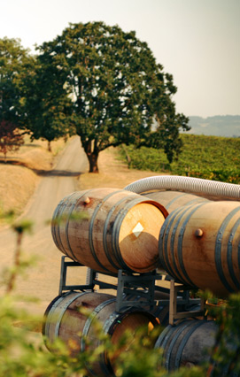 About Us - Almaden Vineyards